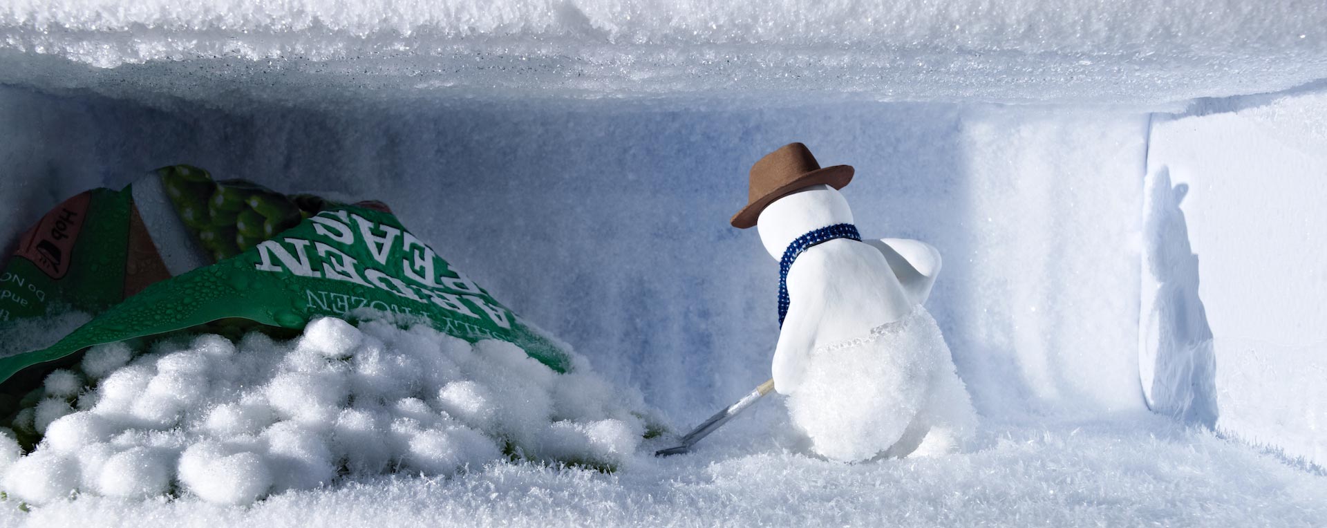 Commercial Snowman In Freezer at Louise Costa blog
